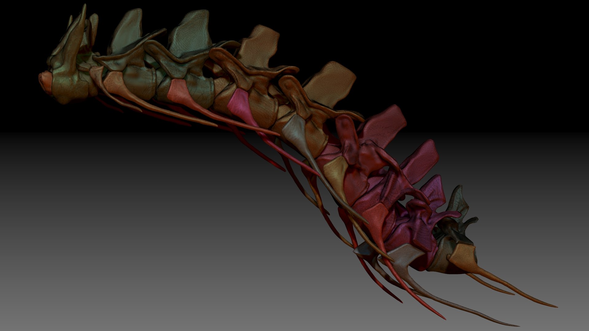 3D Spinosaurus Neck Skeletons Set model - TurboSquid 1714690