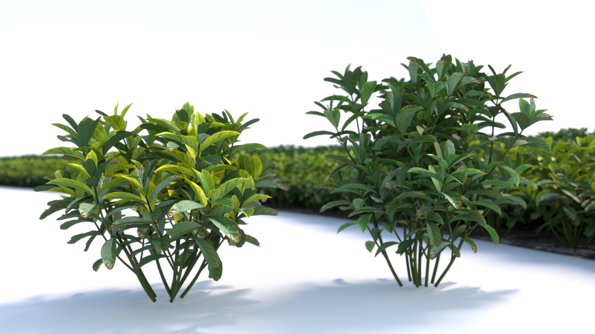 3D Landscape And Shrub 3D Models - TurboSquid 2253599