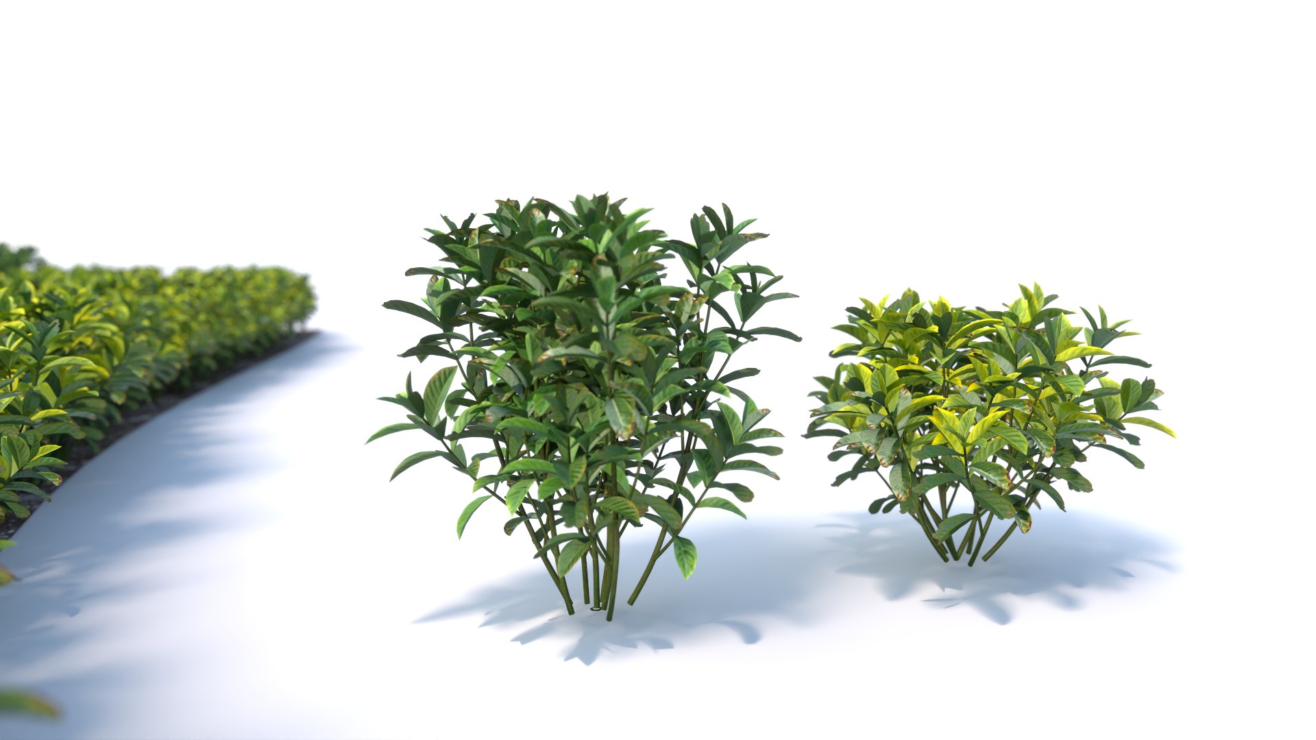 3D Landscape And Shrub 3D Models - TurboSquid 2253599