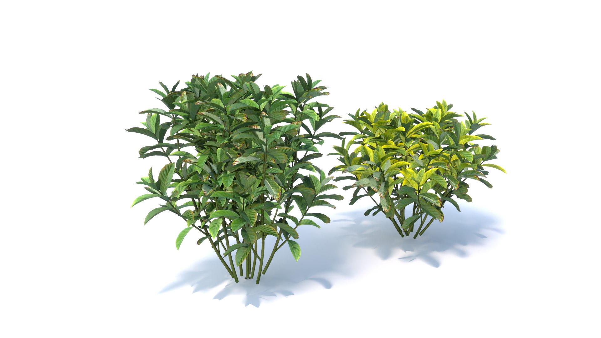 3D Landscape And Shrub 3D Models - TurboSquid 2253599