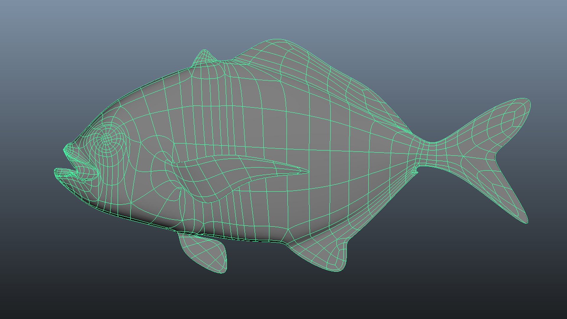 3D Saltwater Fish Collection 25 Model - TurboSquid 1837611
