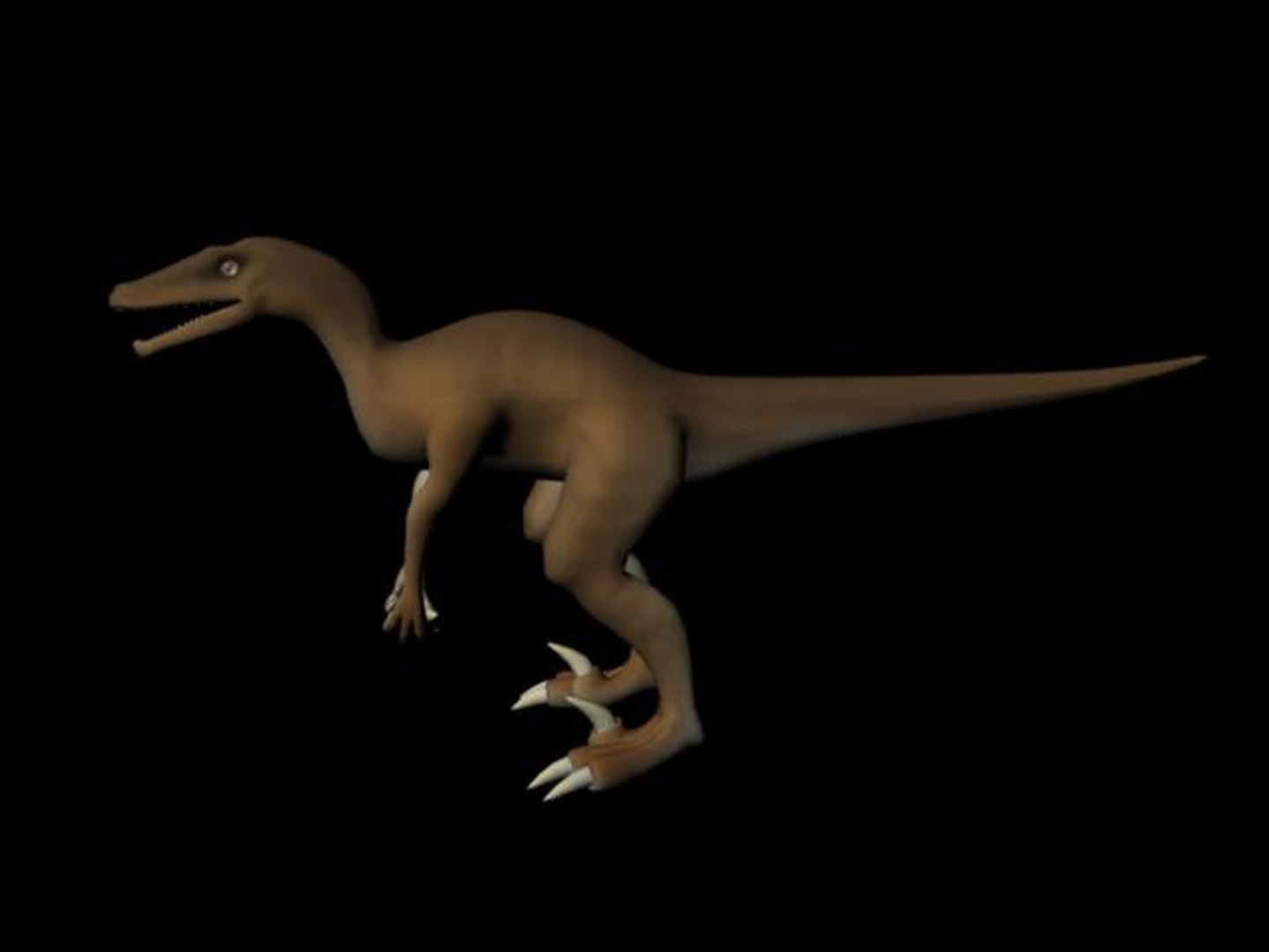 Free Velociraptor 3d Model