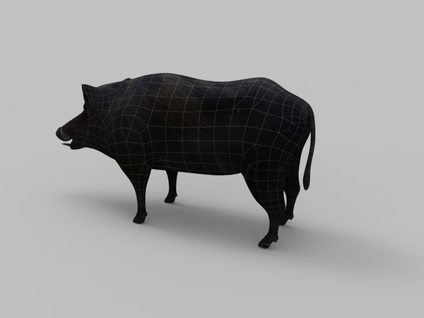 Wild boar rigged animation 3D model - TurboSquid 1253308