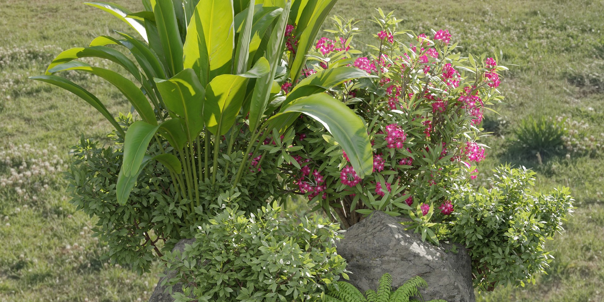 3D Outdoor Garden Plants Collection Vol 136-Blender - TurboSquid 2146330