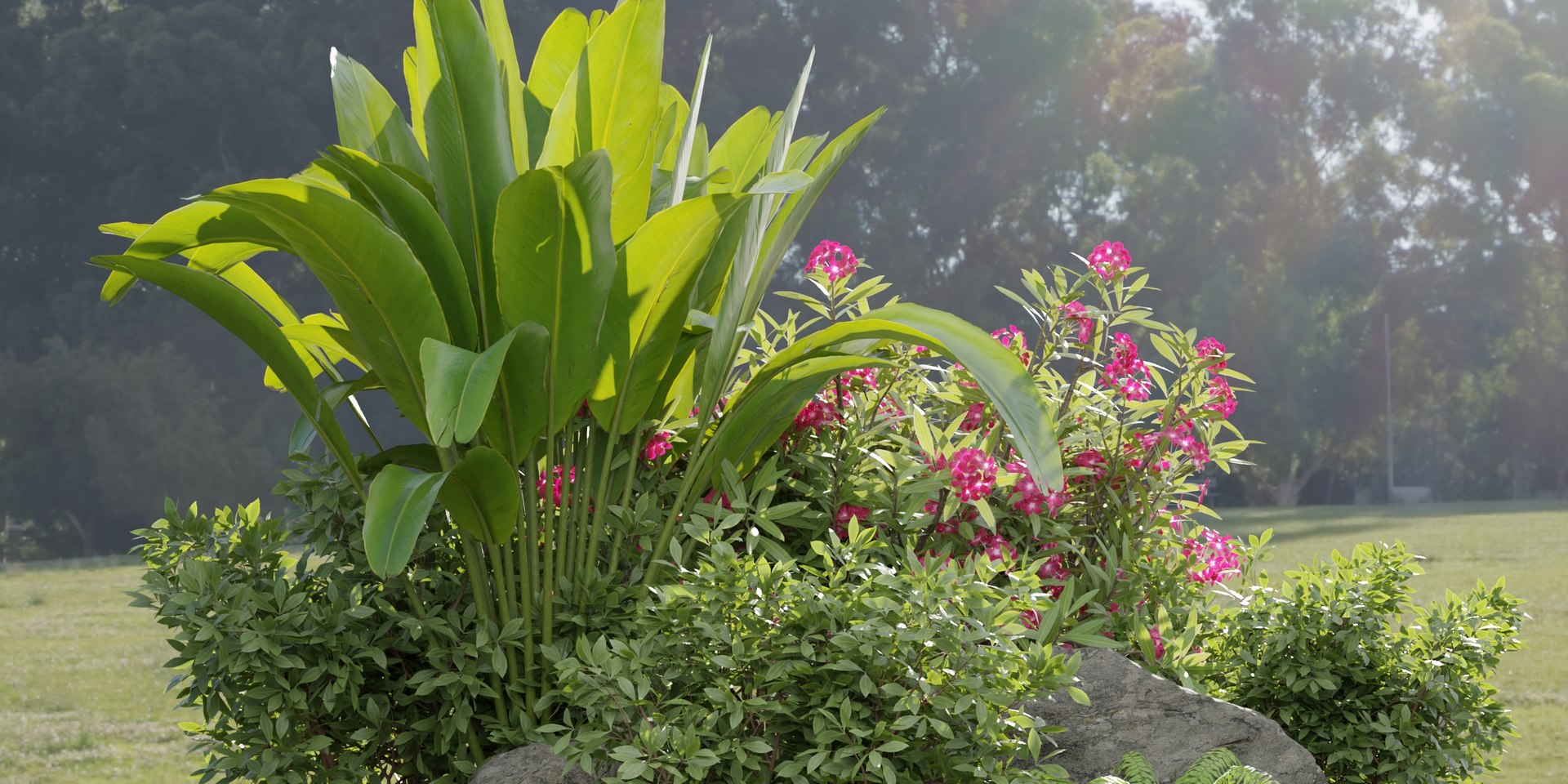 3D Outdoor Garden Plants Collection Vol 136-Blender - TurboSquid 2146330