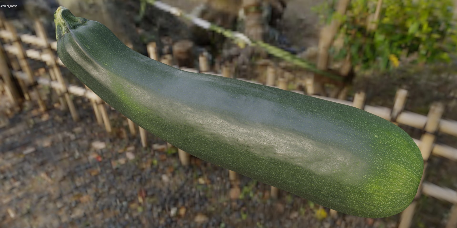 3D Green Zucchini 4k Scanned Model - TurboSquid 1880450
