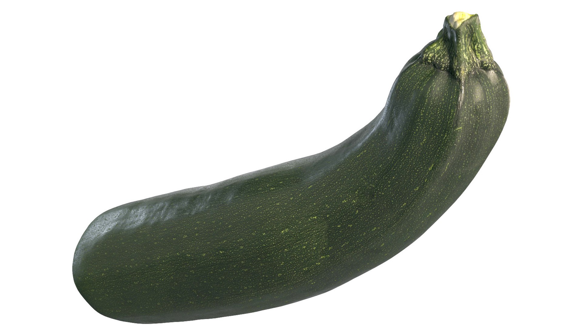 3D Green Zucchini 4k Scanned Model - TurboSquid 1880450