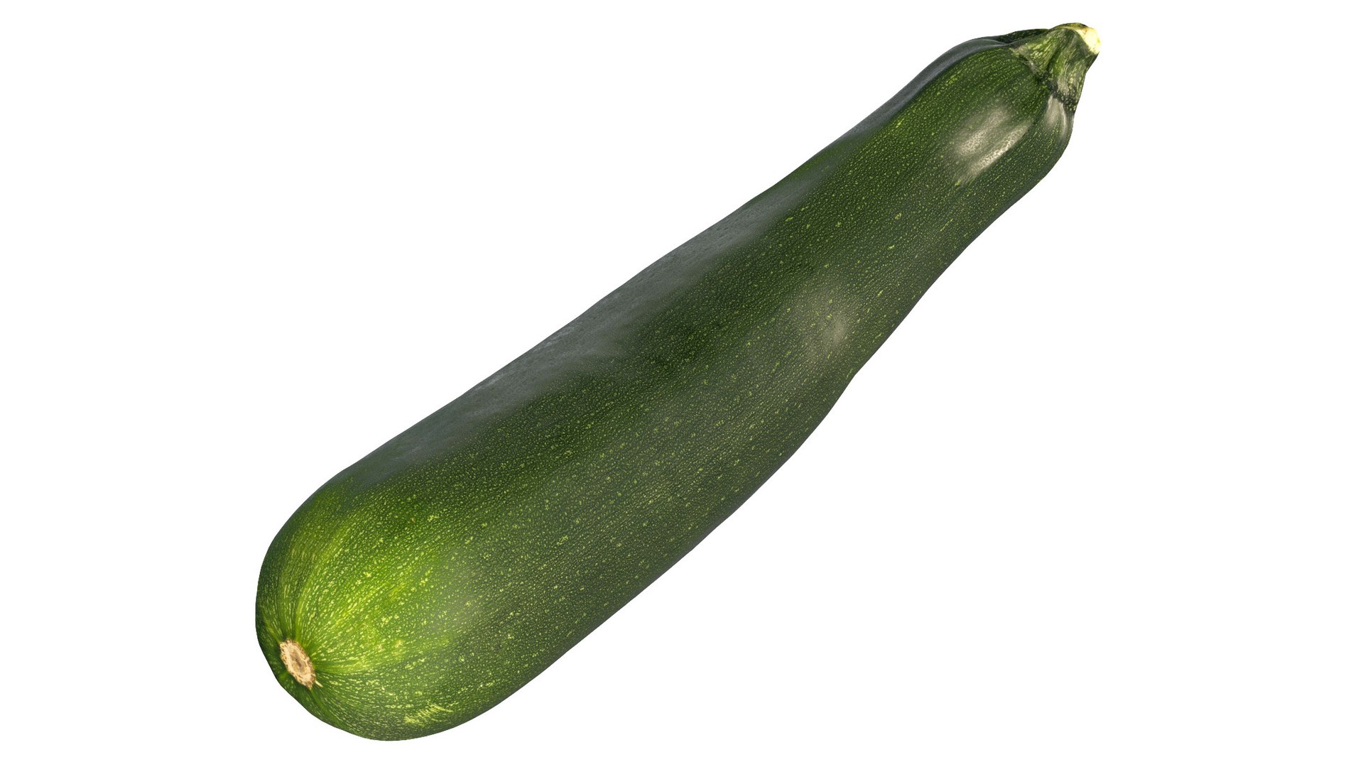 3D Green Zucchini 4k Scanned Model - TurboSquid 1880450