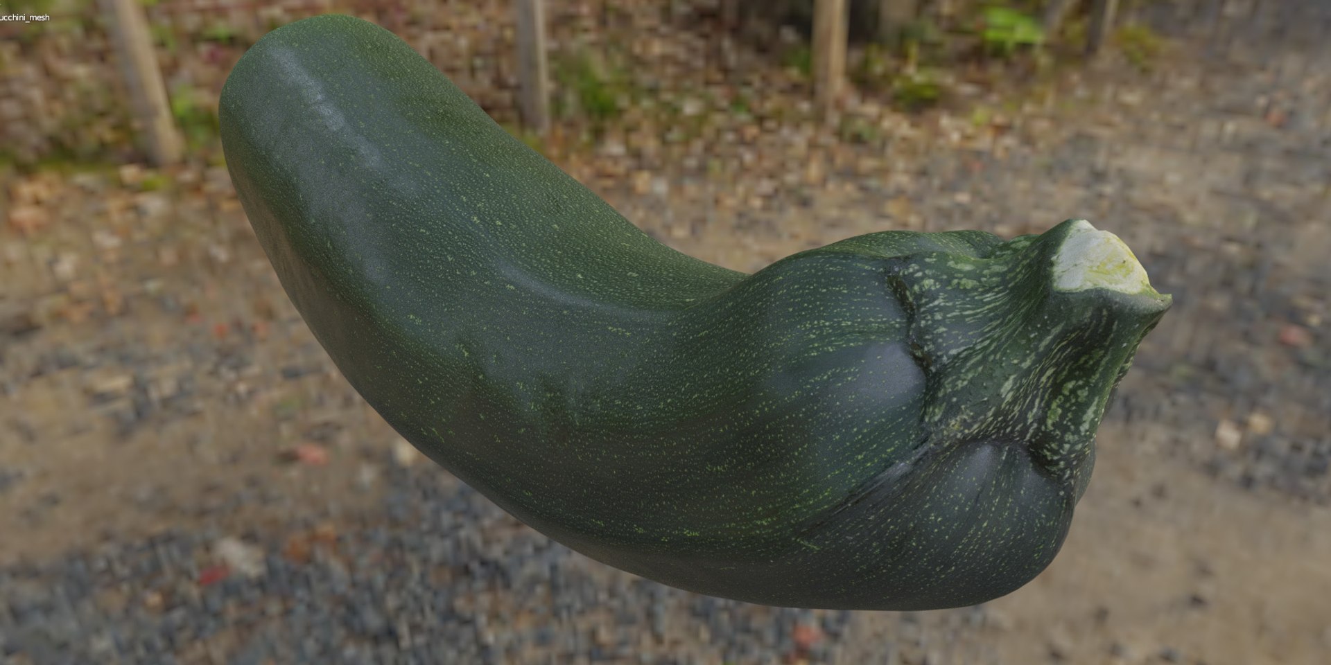 3D Green Zucchini 4k Scanned Model - TurboSquid 1880450