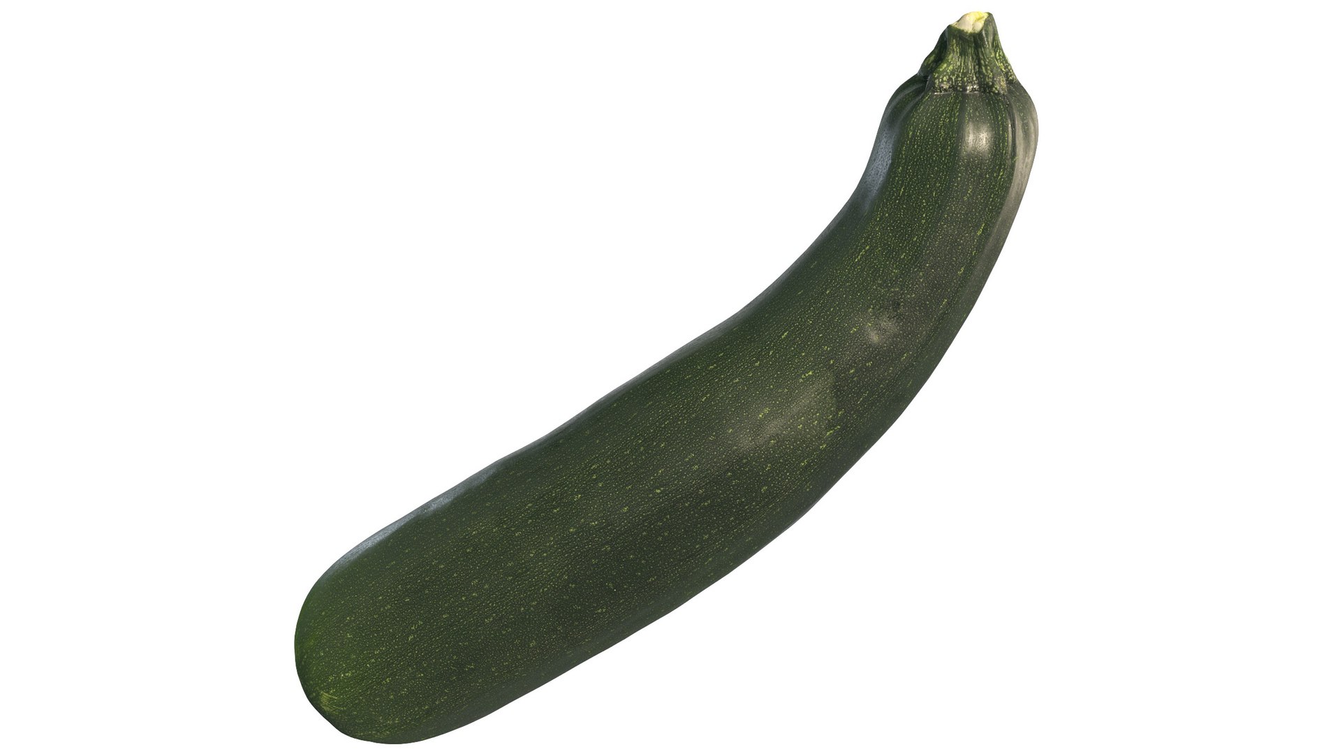 3D Green Zucchini 4k Scanned Model - TurboSquid 1880450
