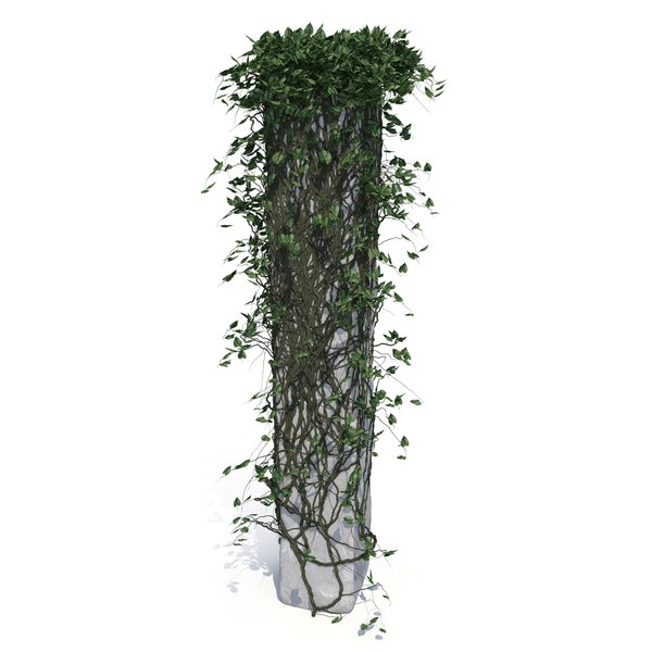 3D ivy column v1 - TurboSquid 1648026