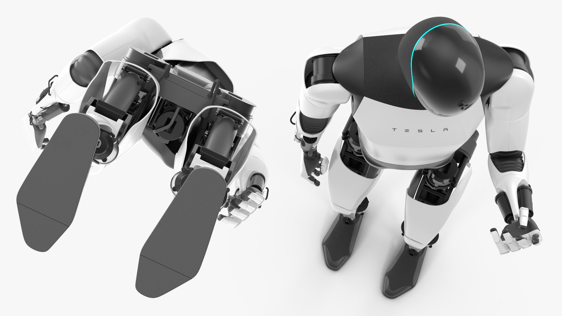 3D Tesla Optimus Gen 2 Humanoid Robot White Model - TurboSquid 2447919
