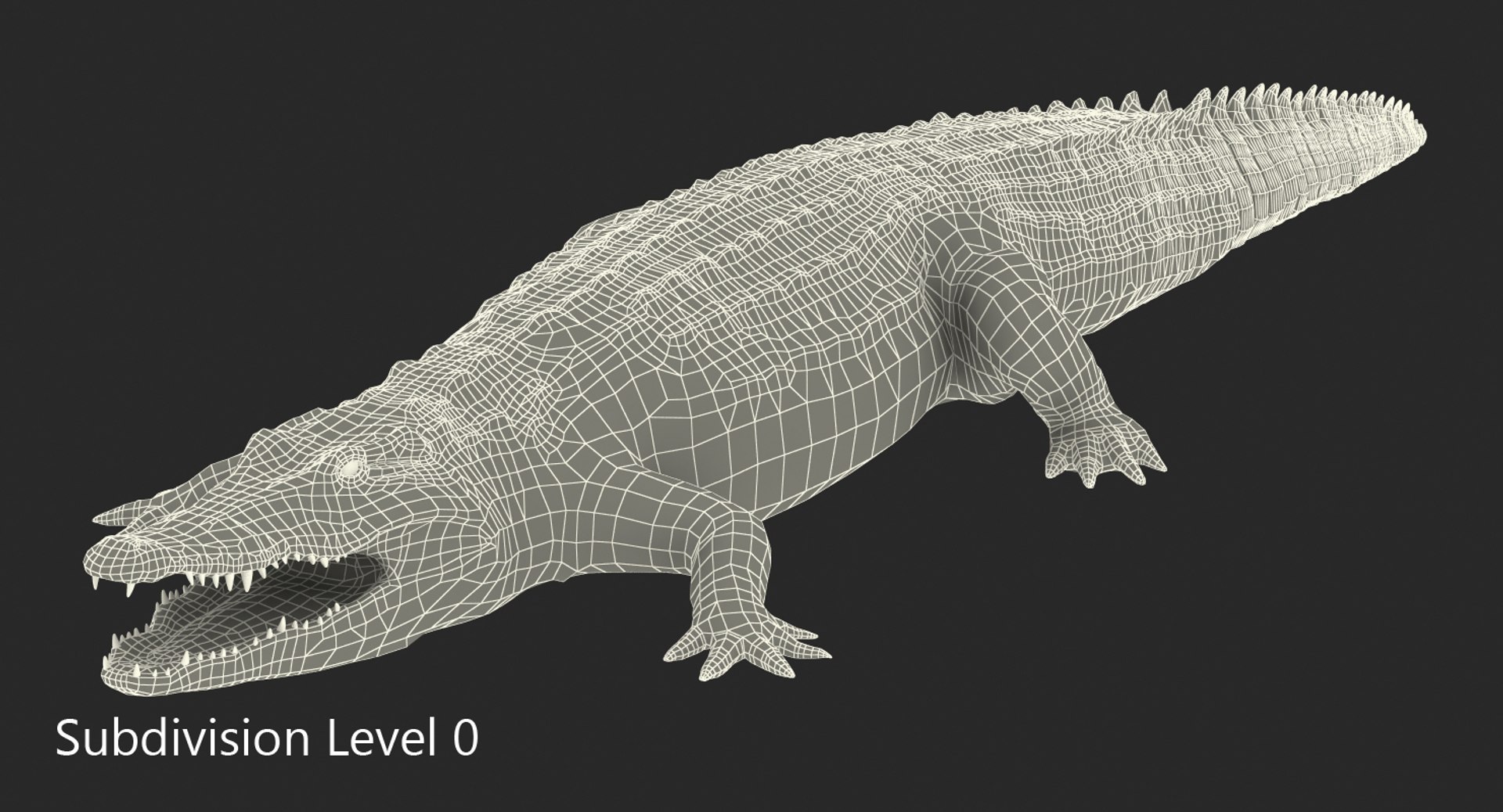crocodile croc 3d x
