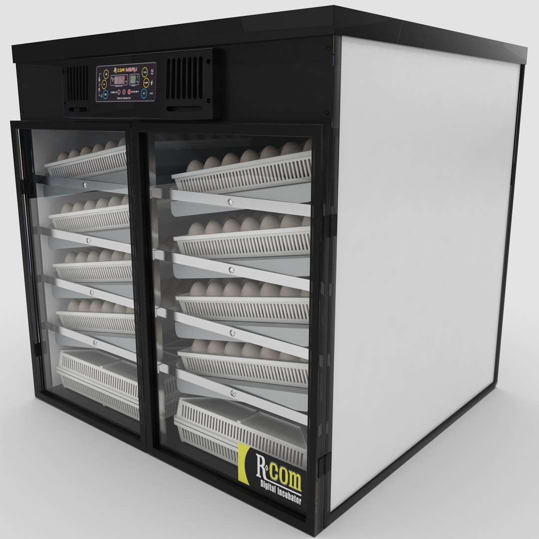 3d egg incubators 2 model