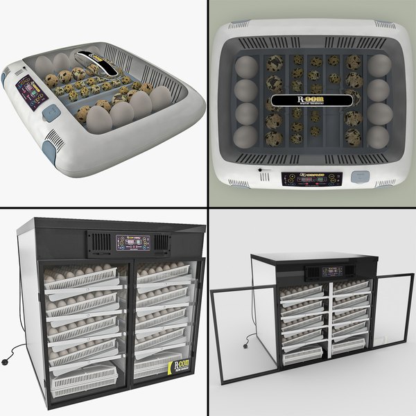 3d egg incubators 2 model
