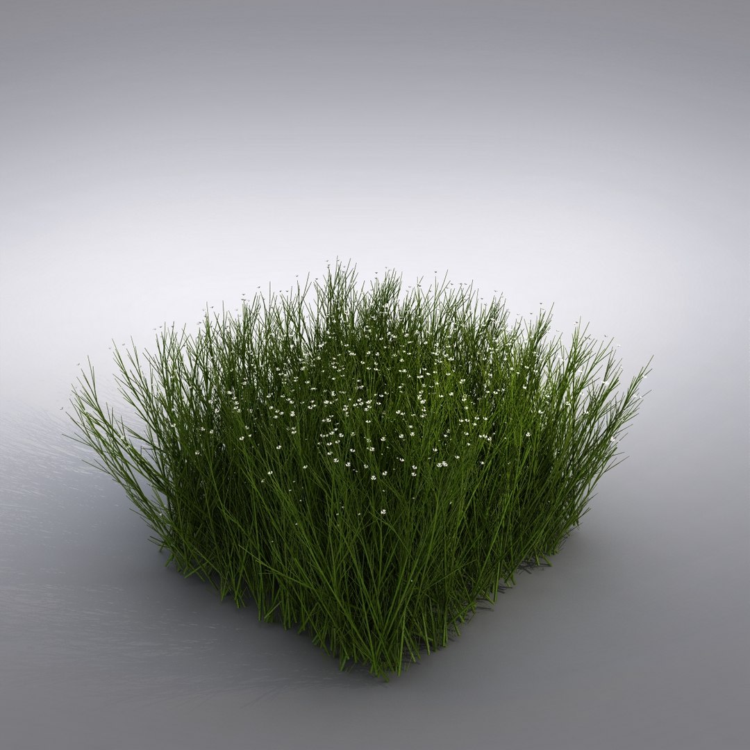3d max ornamental grass