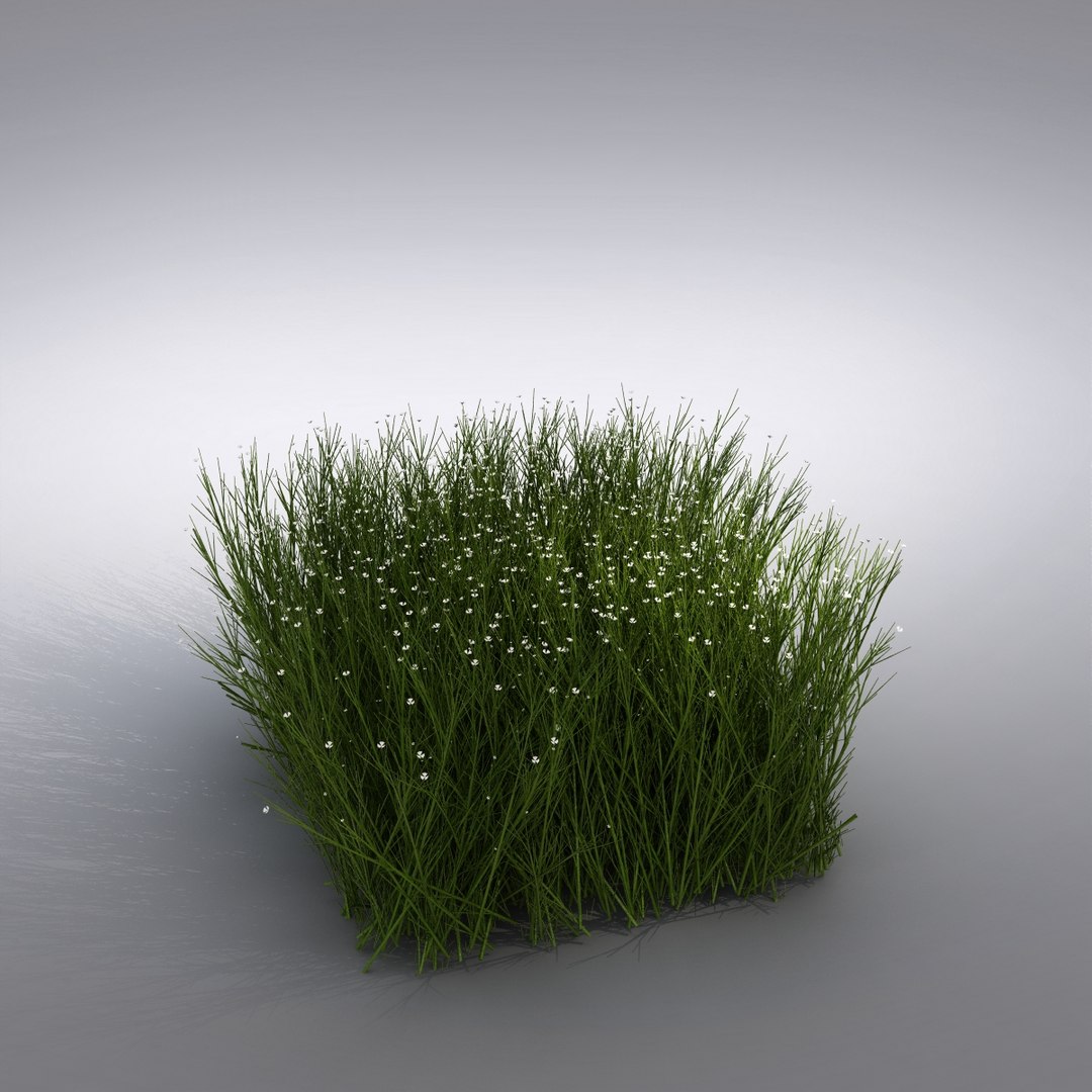 3d max ornamental grass