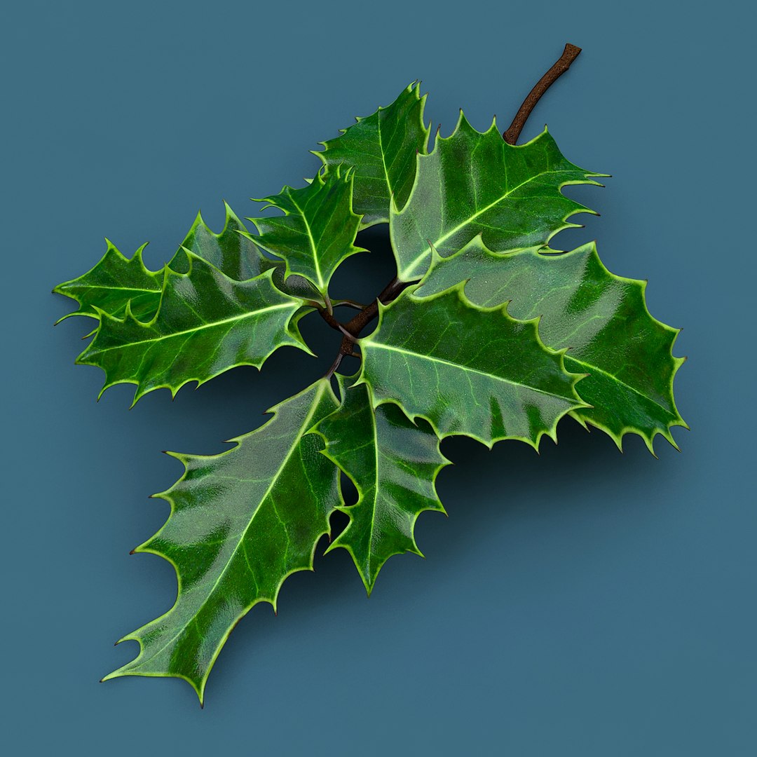 smax holly sprig