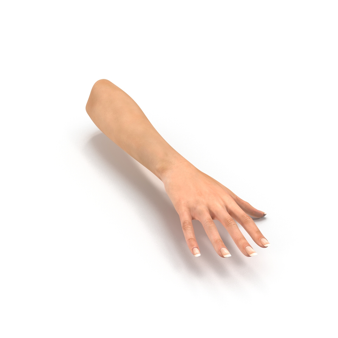 3D Female Hands - TurboSquid 1196096