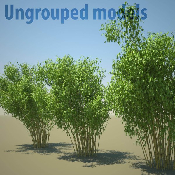 3d model bambusa golden bamboo set