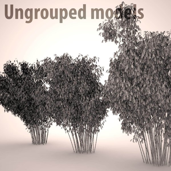 3d model bambusa golden bamboo set