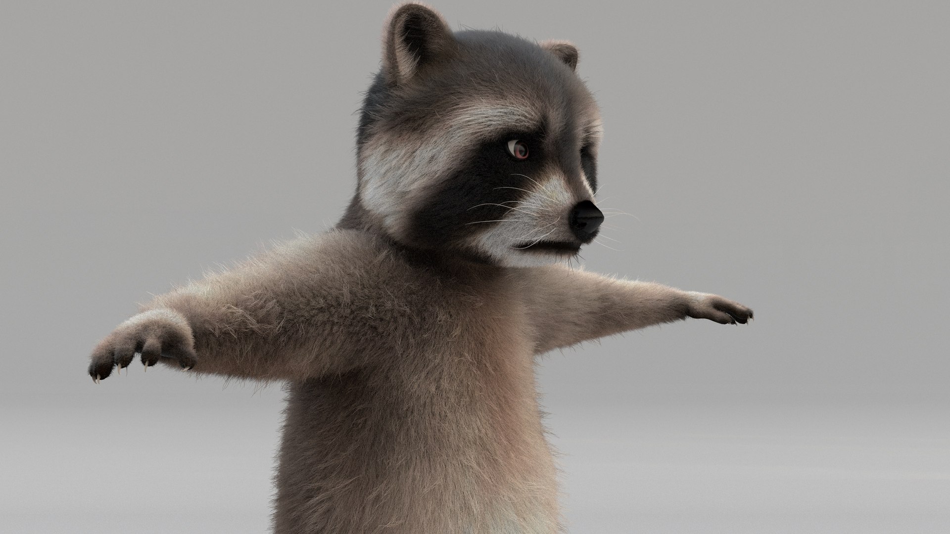 Raccoon FUR ANIMATED 3D model - TurboSquid 1963498