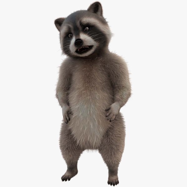 3D Raccoon Models | TurboSquid