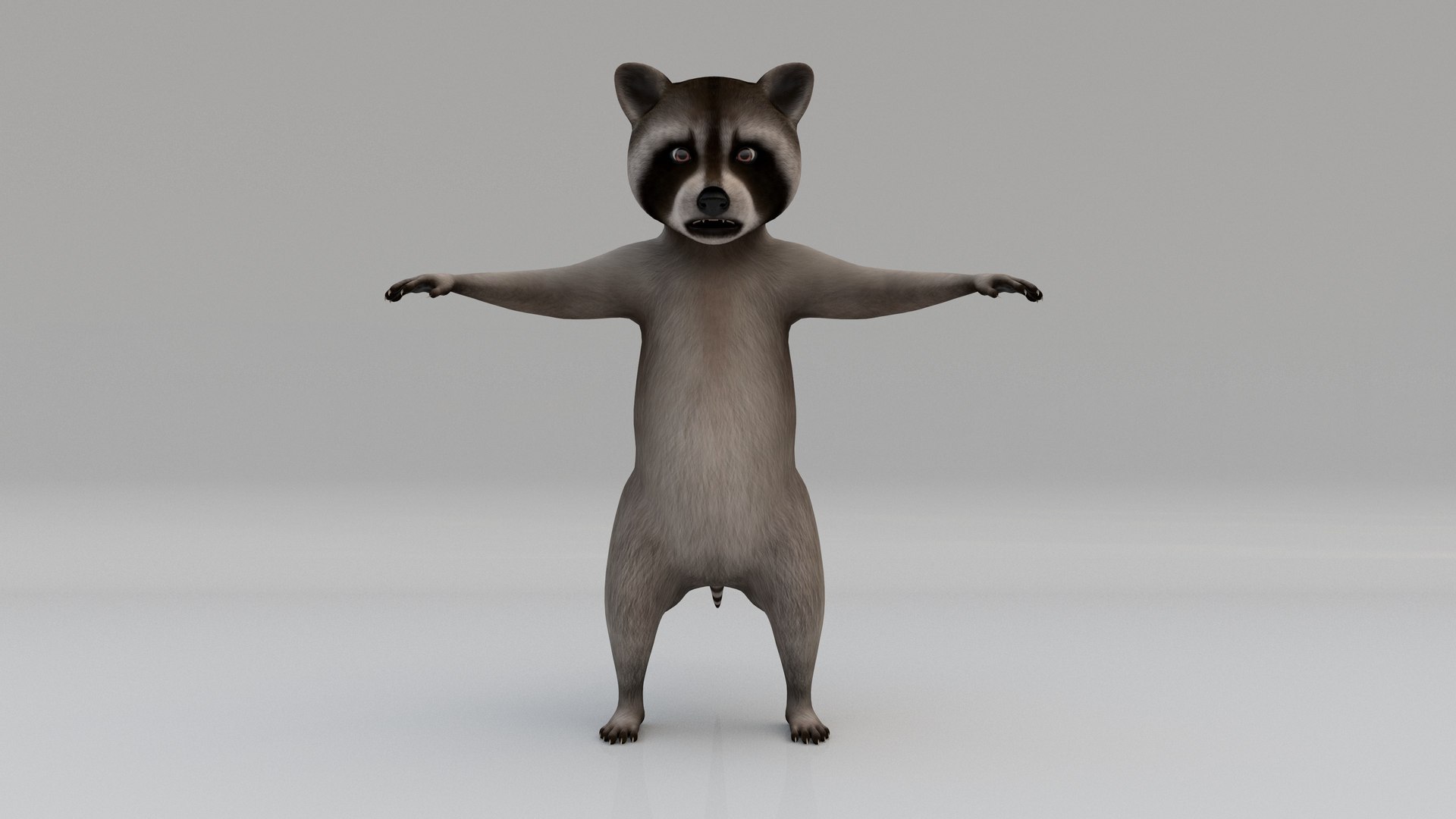 Raccoon FUR ANIMATED 3D model - TurboSquid 1963498