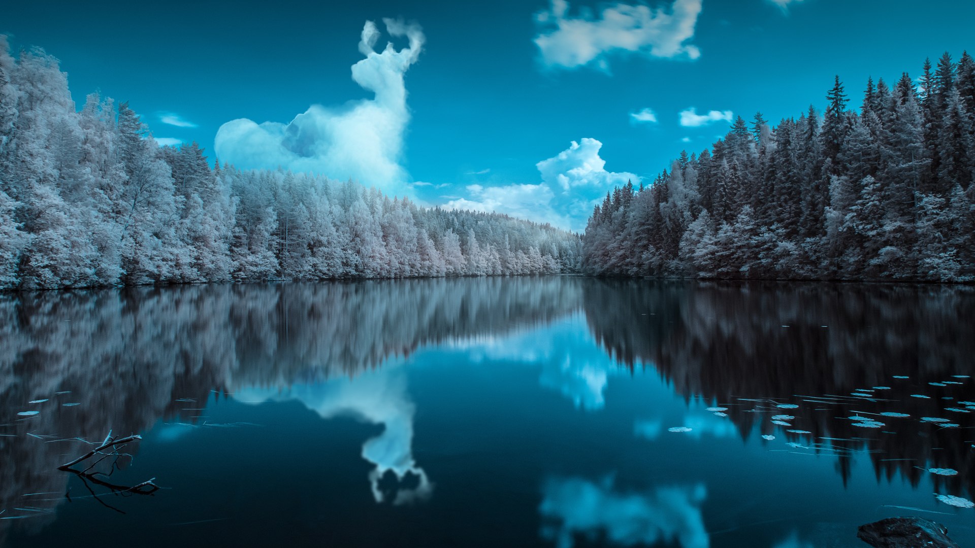 Cloudy Animal VDB Model - TurboSquid 2272210