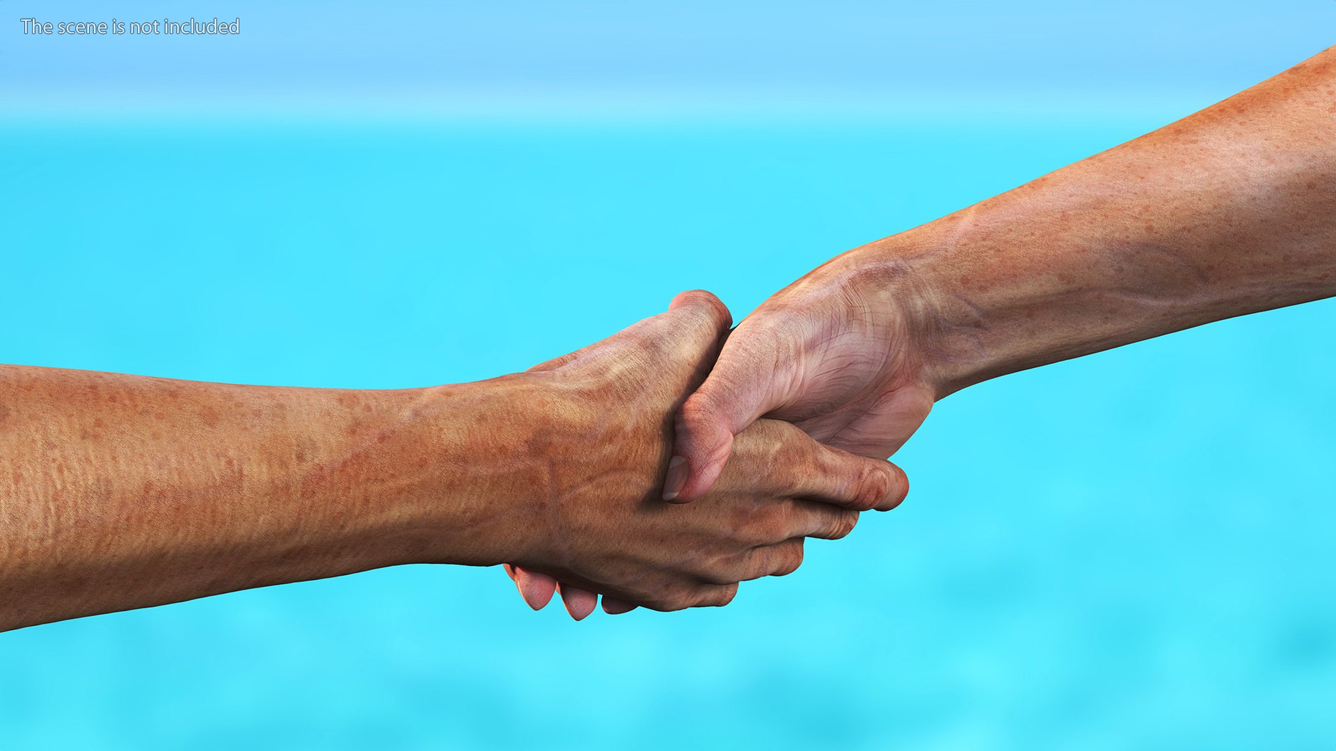 Handshake Old Man Hands Rigged 3D Model - TurboSquid 2111323