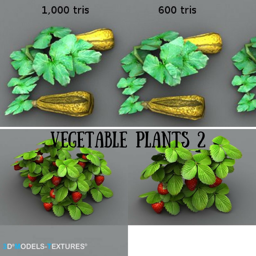 3D Vegetable Plants - TurboSquid 1209272