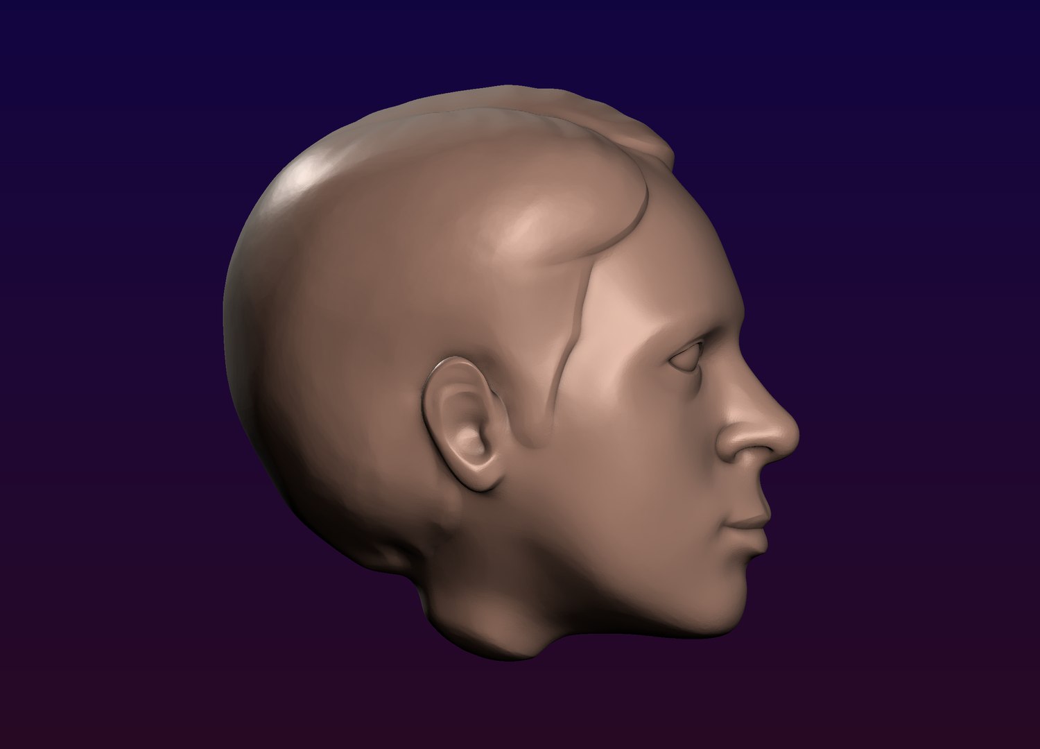 3D Male Head 17 Model - TurboSquid 1889555
