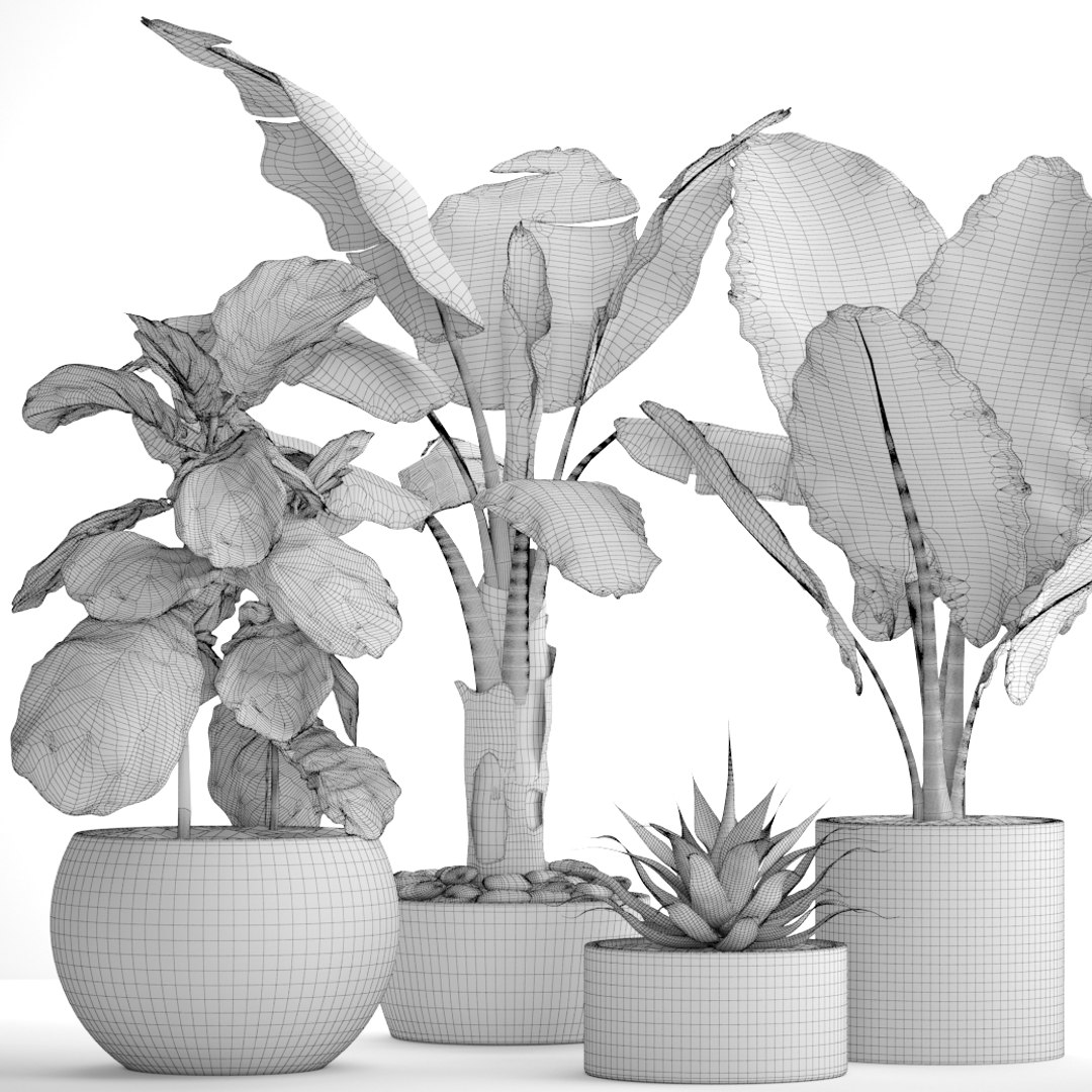 3D Plants - TurboSquid 1161052