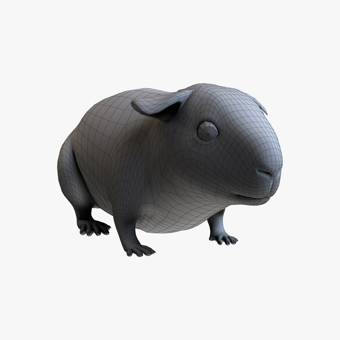 Guinea Pig - 3d Fbx