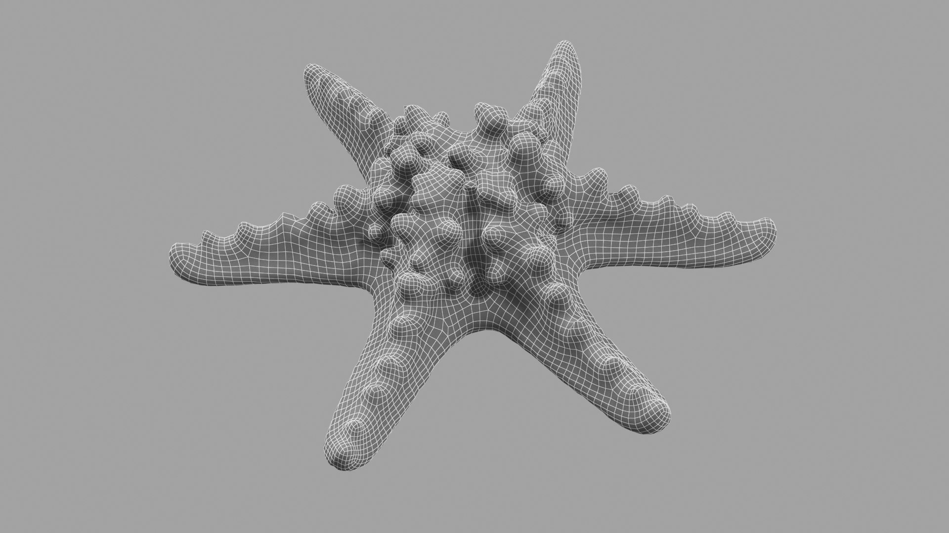 3D model starfish 01 - TurboSquid 1432842
