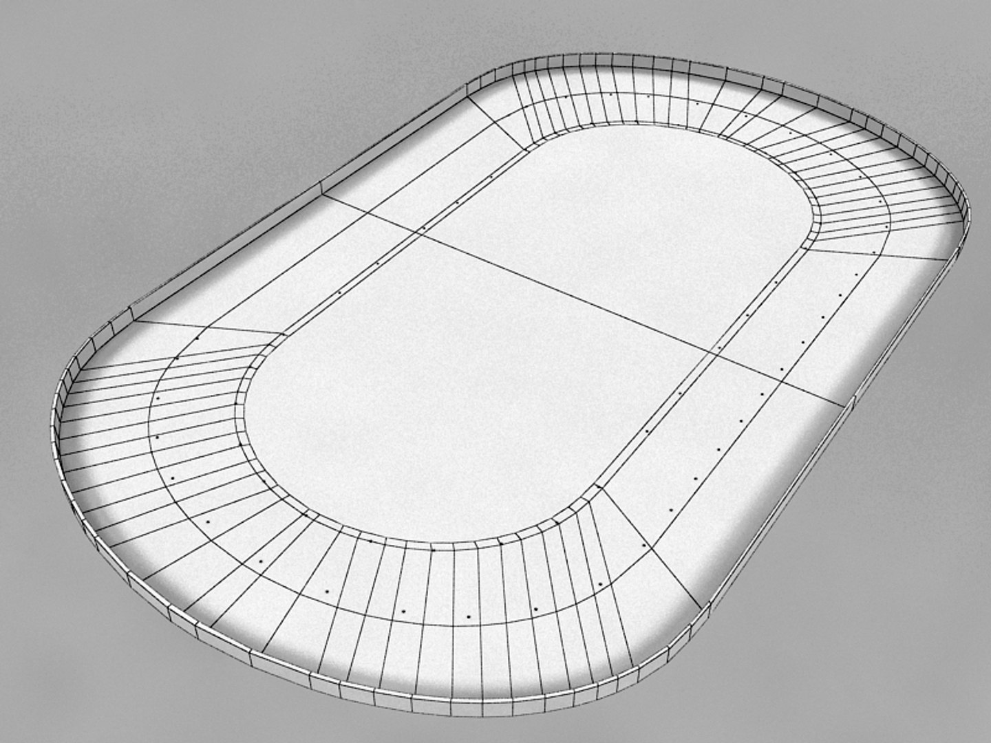 3d Short Long Track Rink