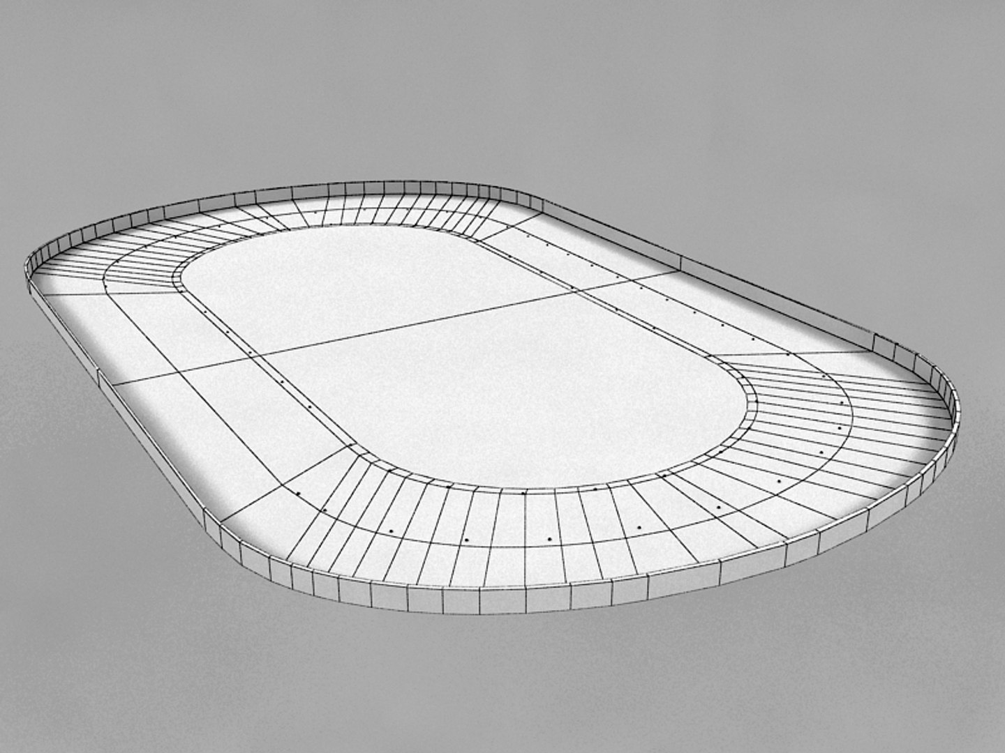 3d Short Long Track Rink