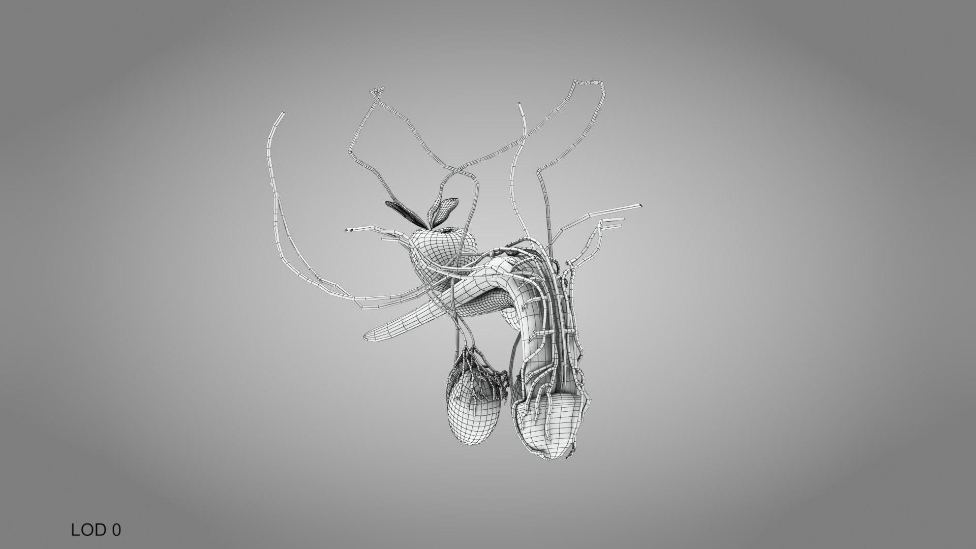 3D Female And Male Reproductive System - TurboSquid 1927648
