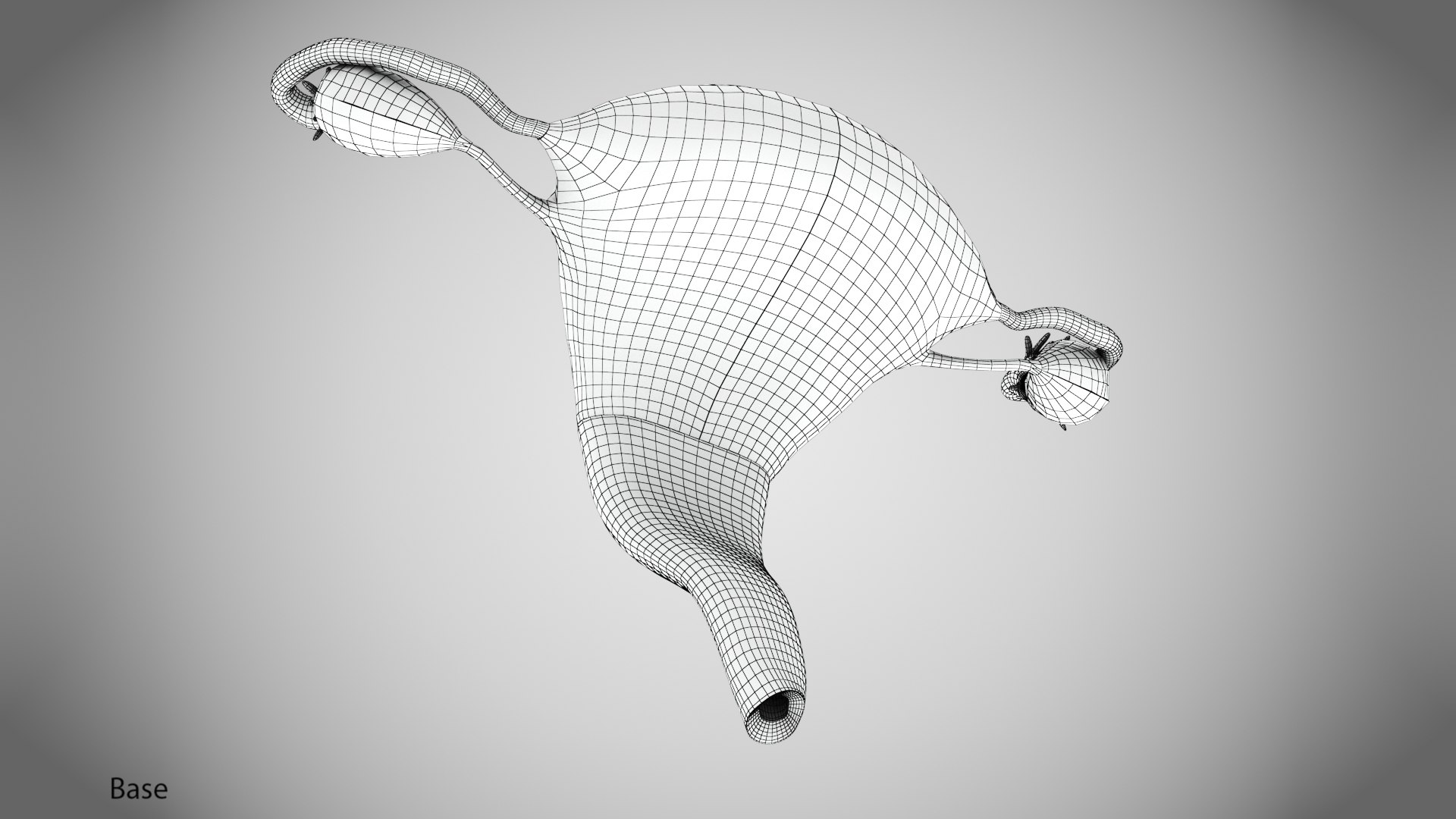 3D Female And Male Reproductive System - TurboSquid 1927648