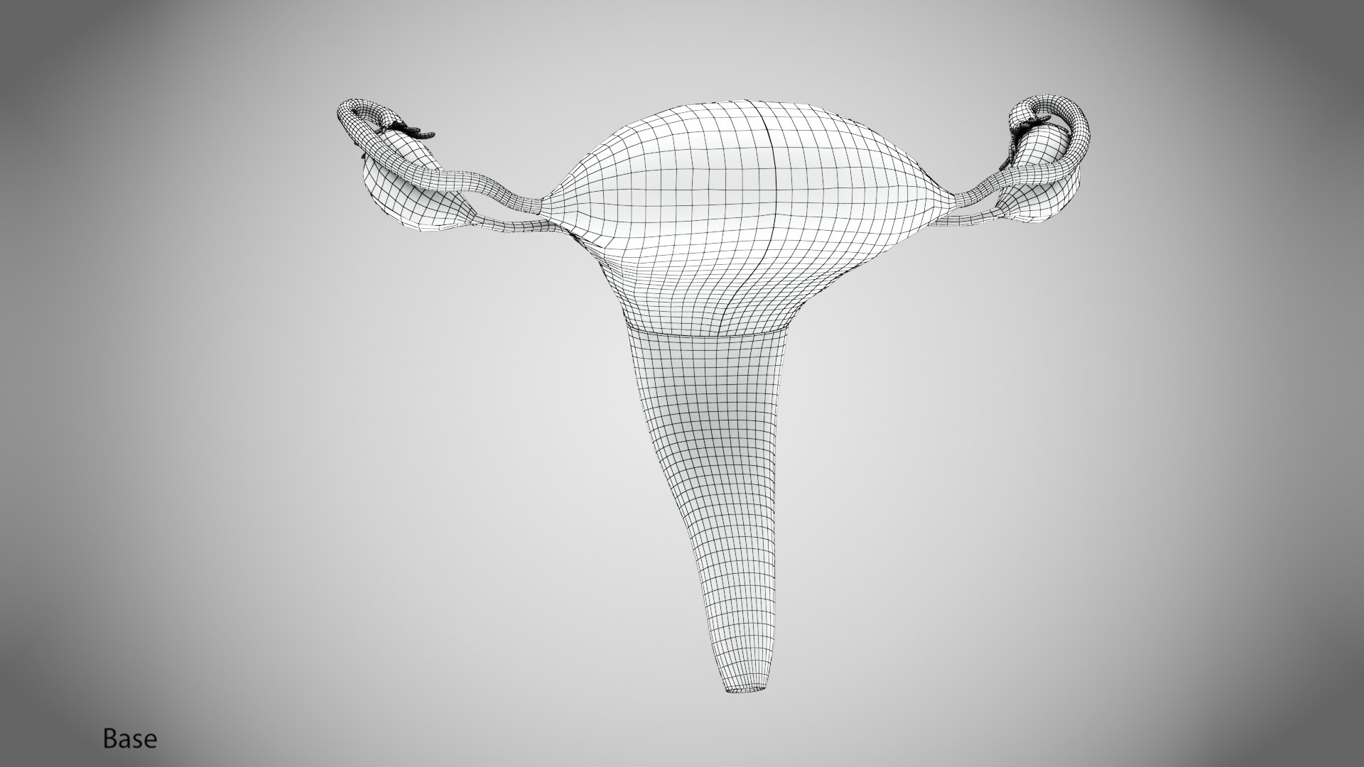 3D Female And Male Reproductive System - TurboSquid 1927648