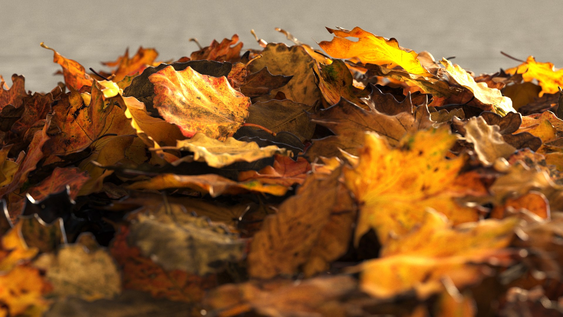 3D Autumn Old Leaves Trash - TurboSquid 1789215