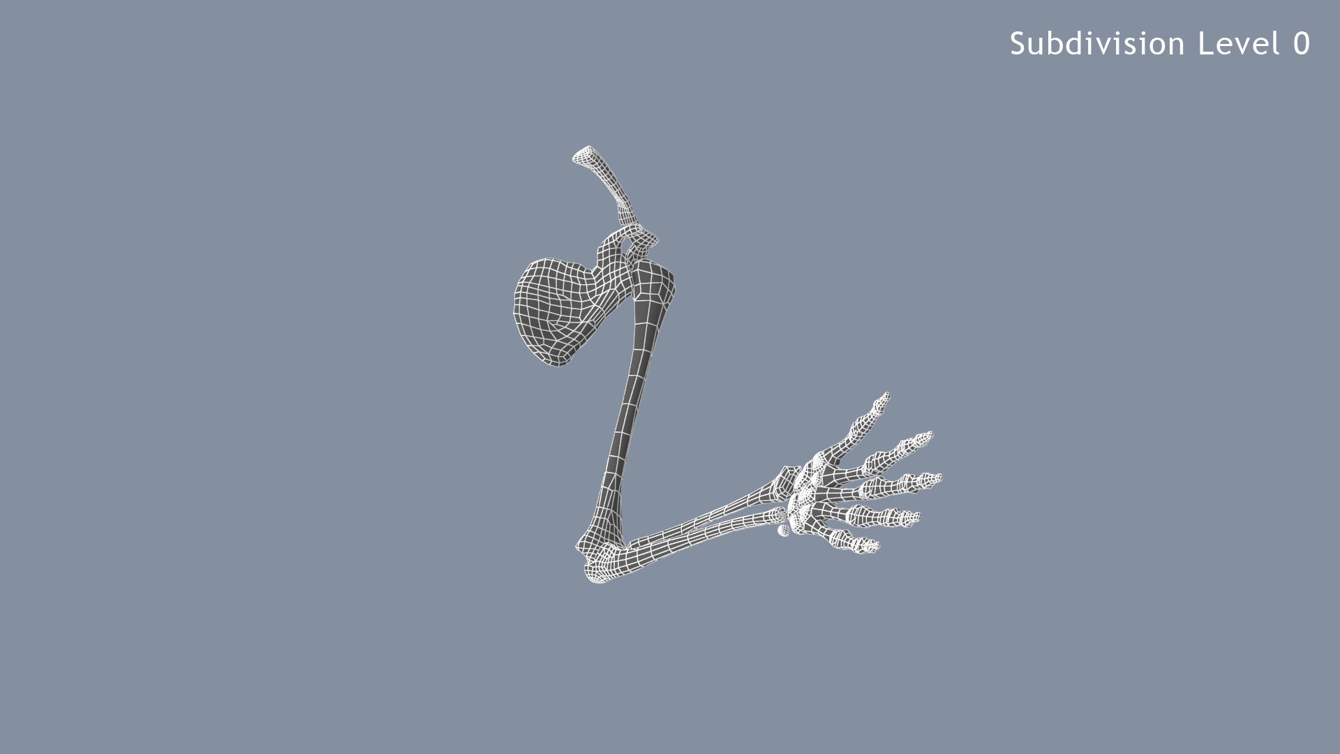 3d hand skeleton