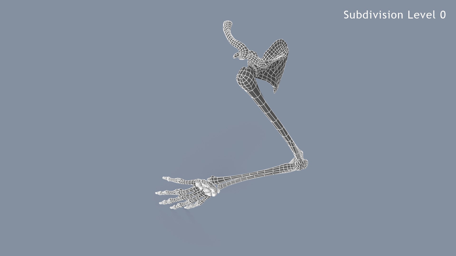 3d hand skeleton