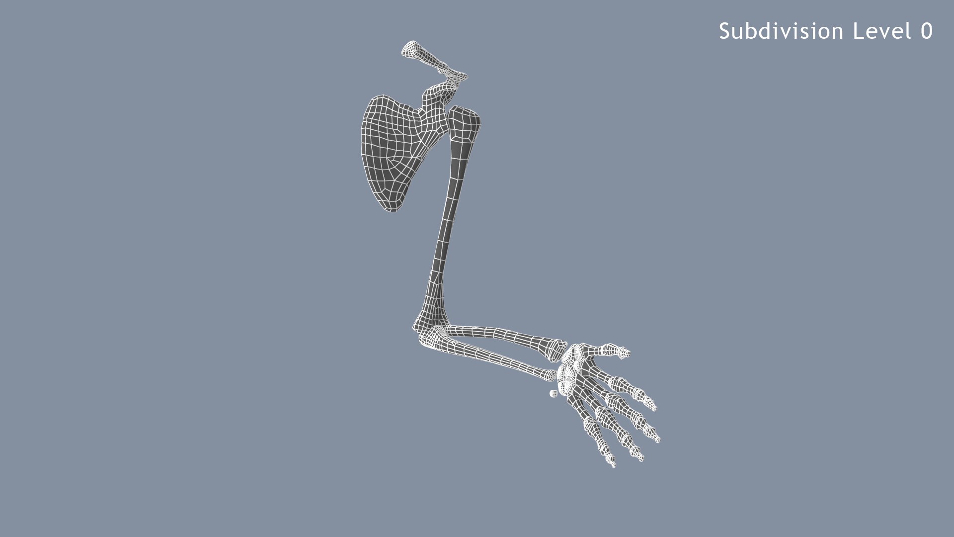 3d hand skeleton