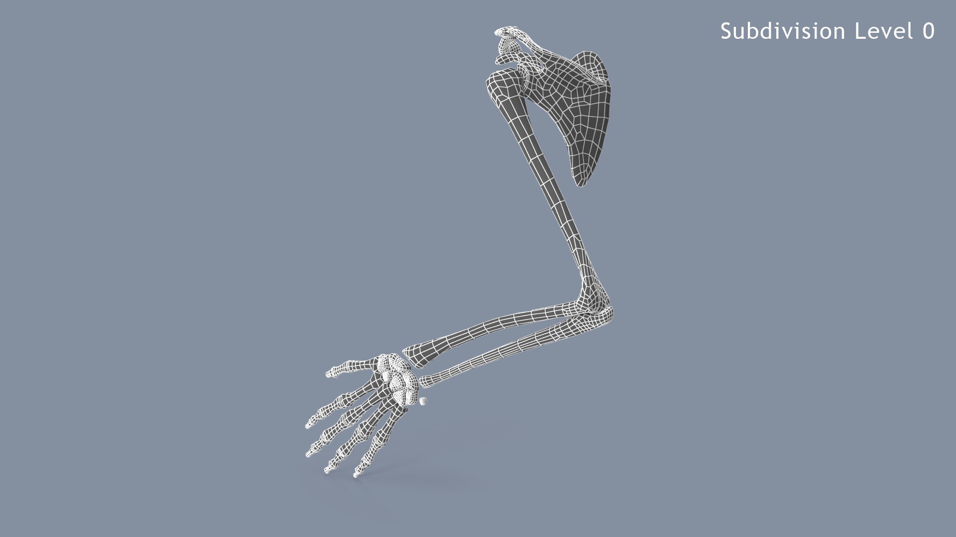 3d hand skeleton