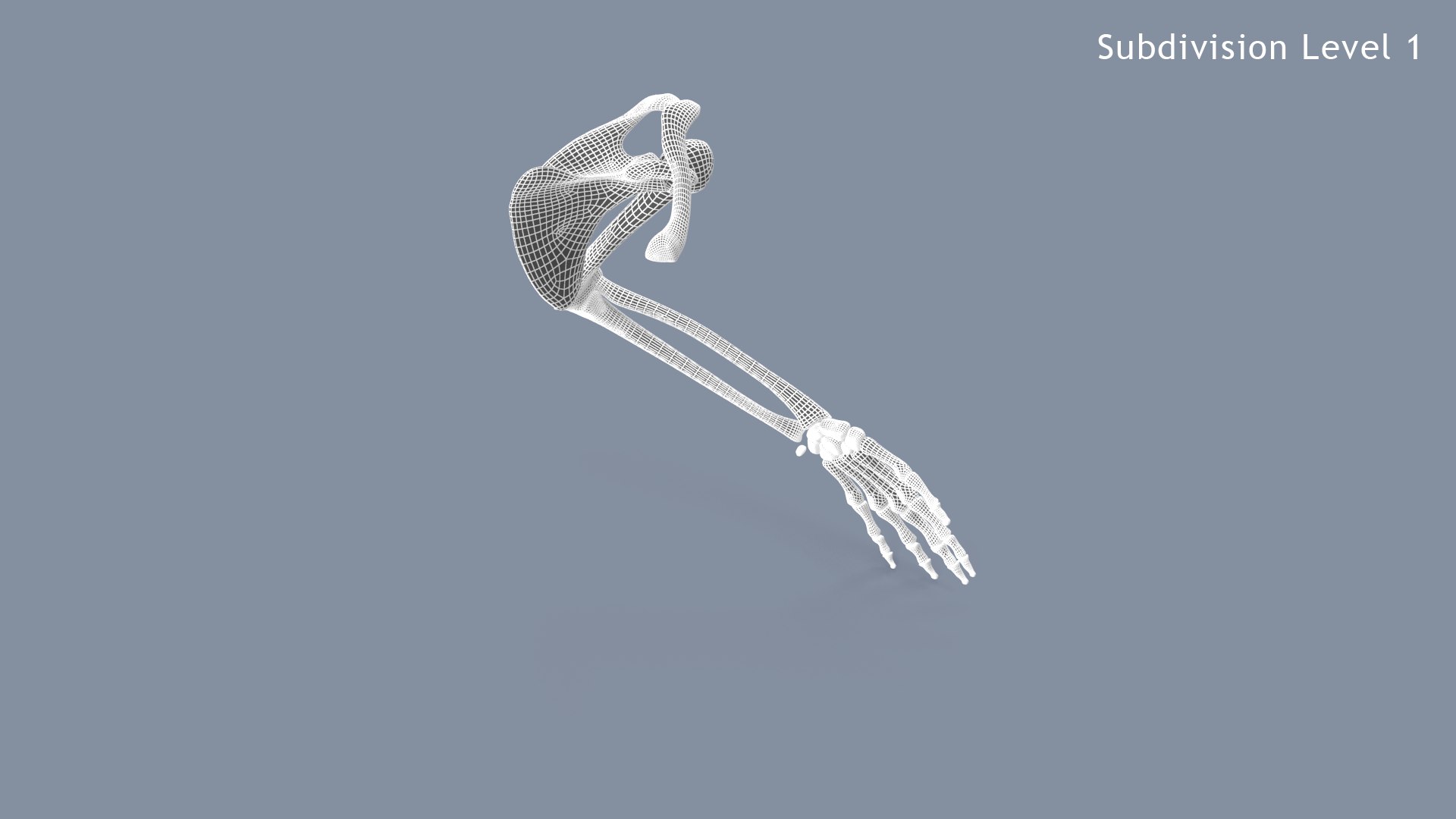 3d hand skeleton