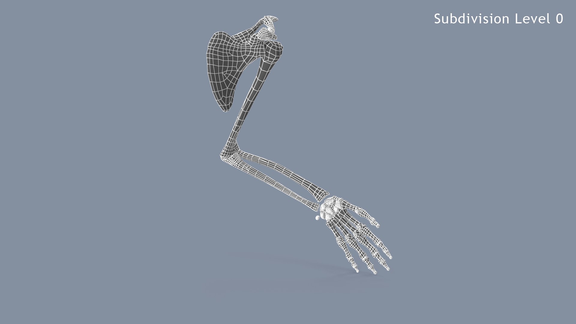 3d hand skeleton