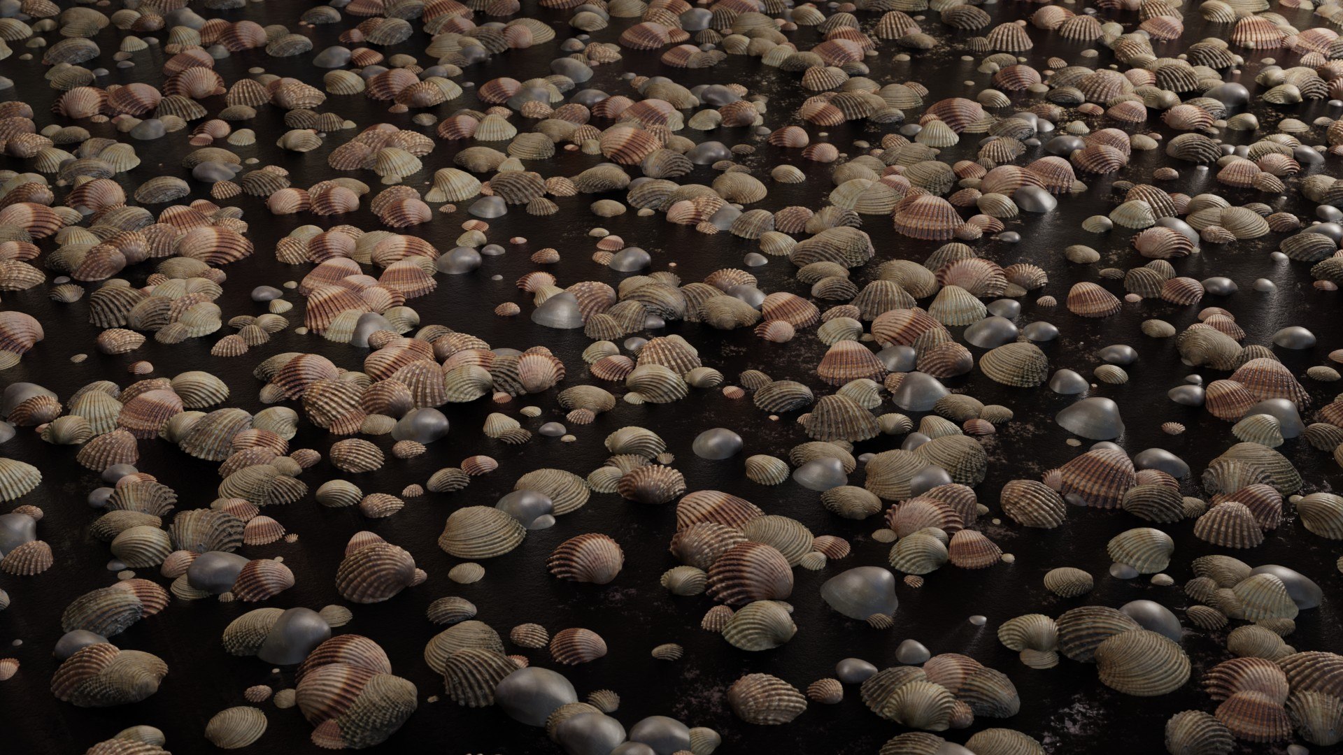 Seashell Collection Vol 2 Lowpoly Model - TurboSquid 1894881