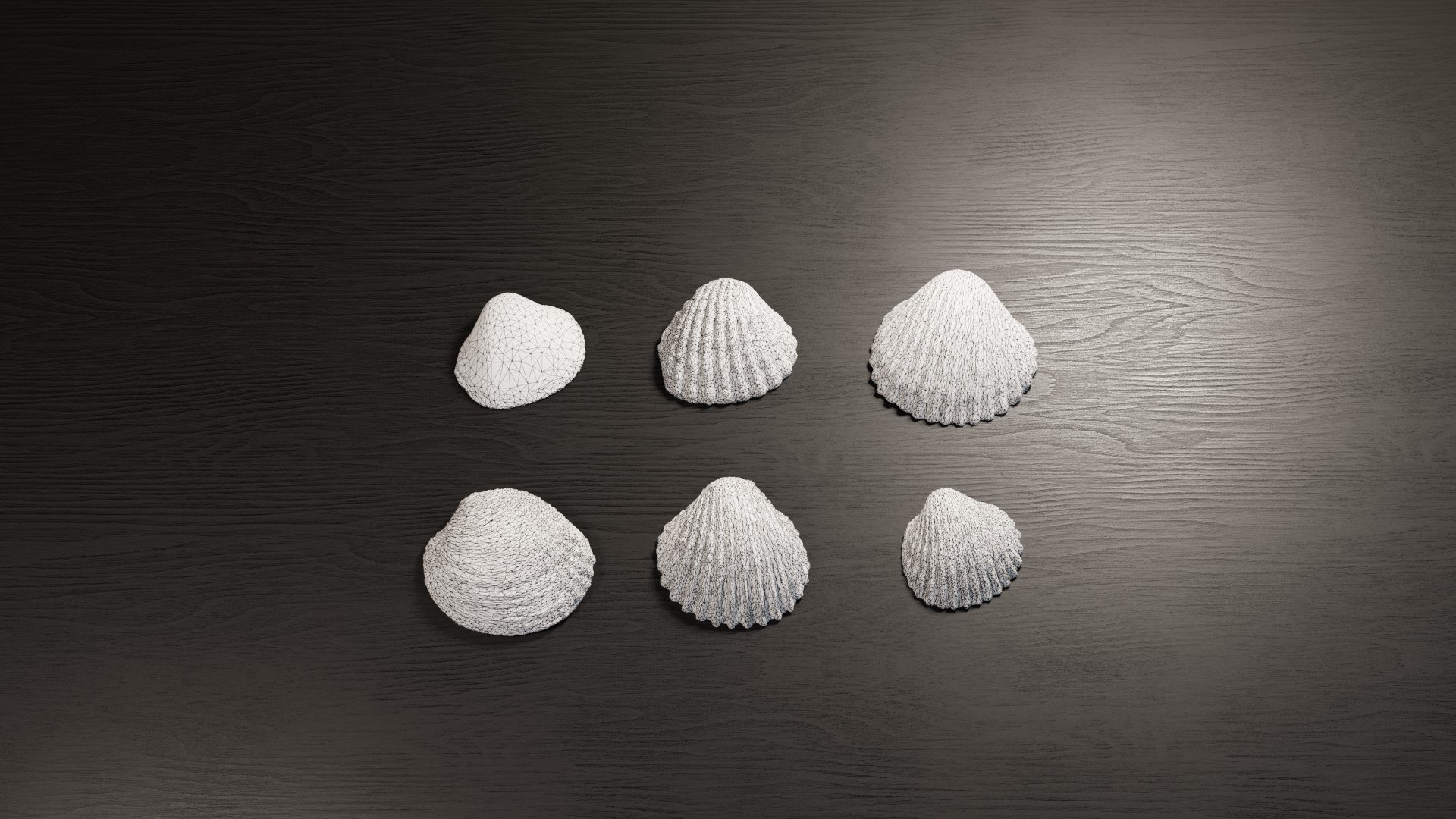 Seashell Collection Vol 2 Lowpoly Model - TurboSquid 1894881