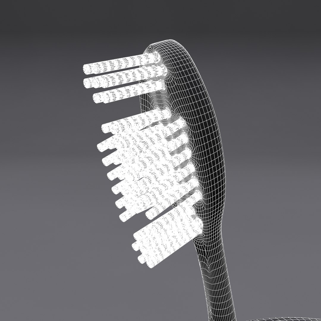 Toothbrushes Stand 3d Model